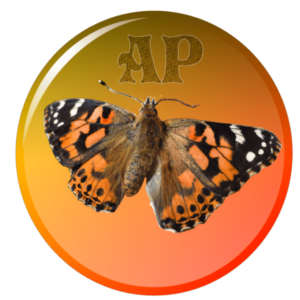 ‘The Space Between Time’