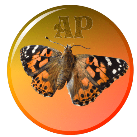 ‘The Space Between Time’